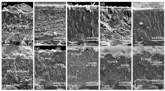 Characterization and Evaluation of Engineered Coating Techniques for ...