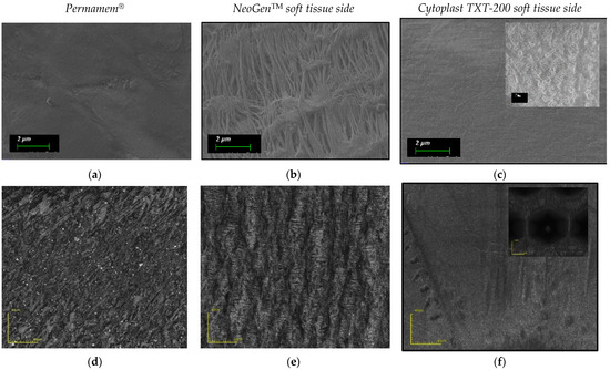 Bacterial Growth on Three Non-Resorbable Polytetrafluoroethylene (PTFE ...