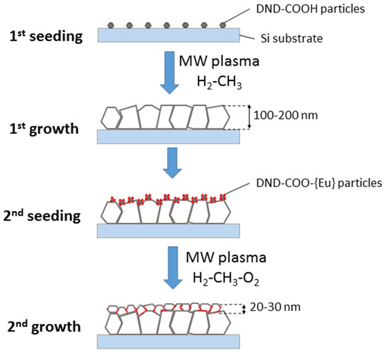 CVD Nanocrystalline Diamond Film Doped with Eu