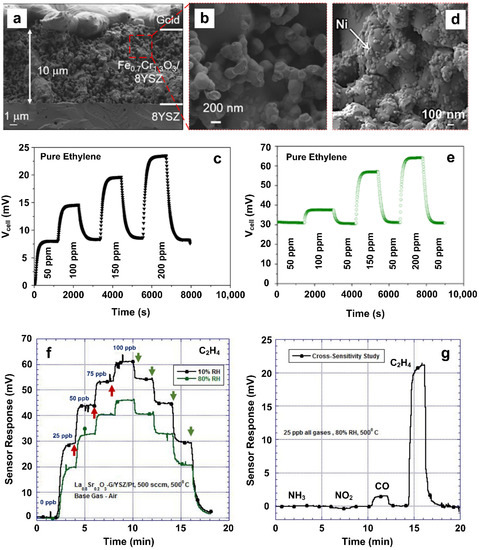 Recent Advances in Ethylene Gas Detection