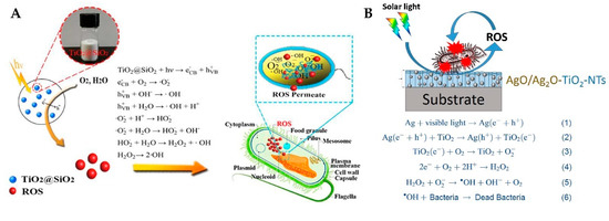 Preparation, Antimicrobial Properties under Different Light Sources ...