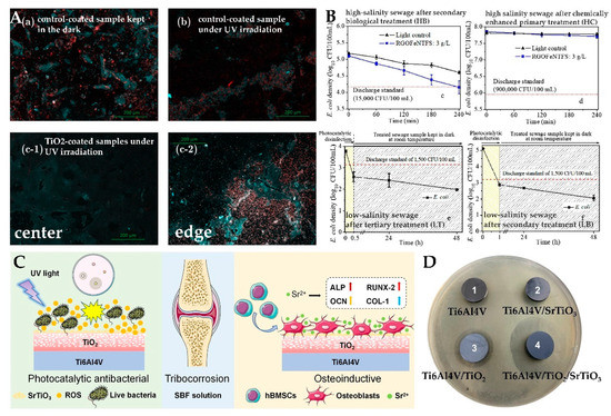 Preparation, Antimicrobial Properties under Different Light Sources ...