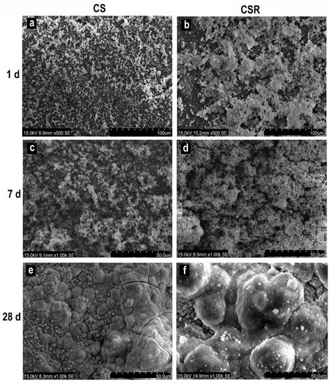 Physicochemical Properties and Inductive Effect of Calcium Strontium ...