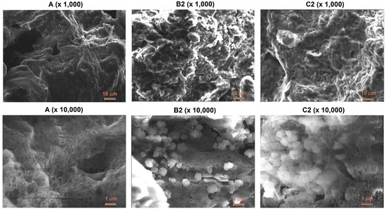 Variously Prepared Zeolite Y as a Modifier of ANFO