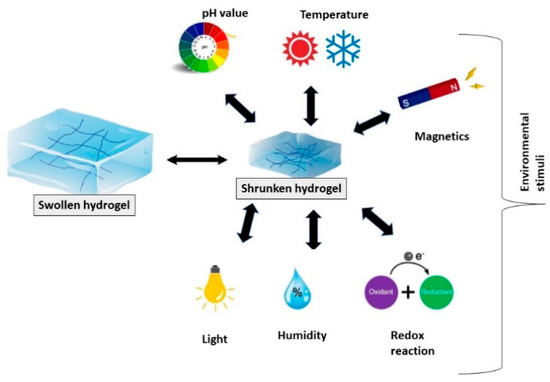 Peptide-Based Hydrogels: New Materials for Biosensing and Biomedical ...
