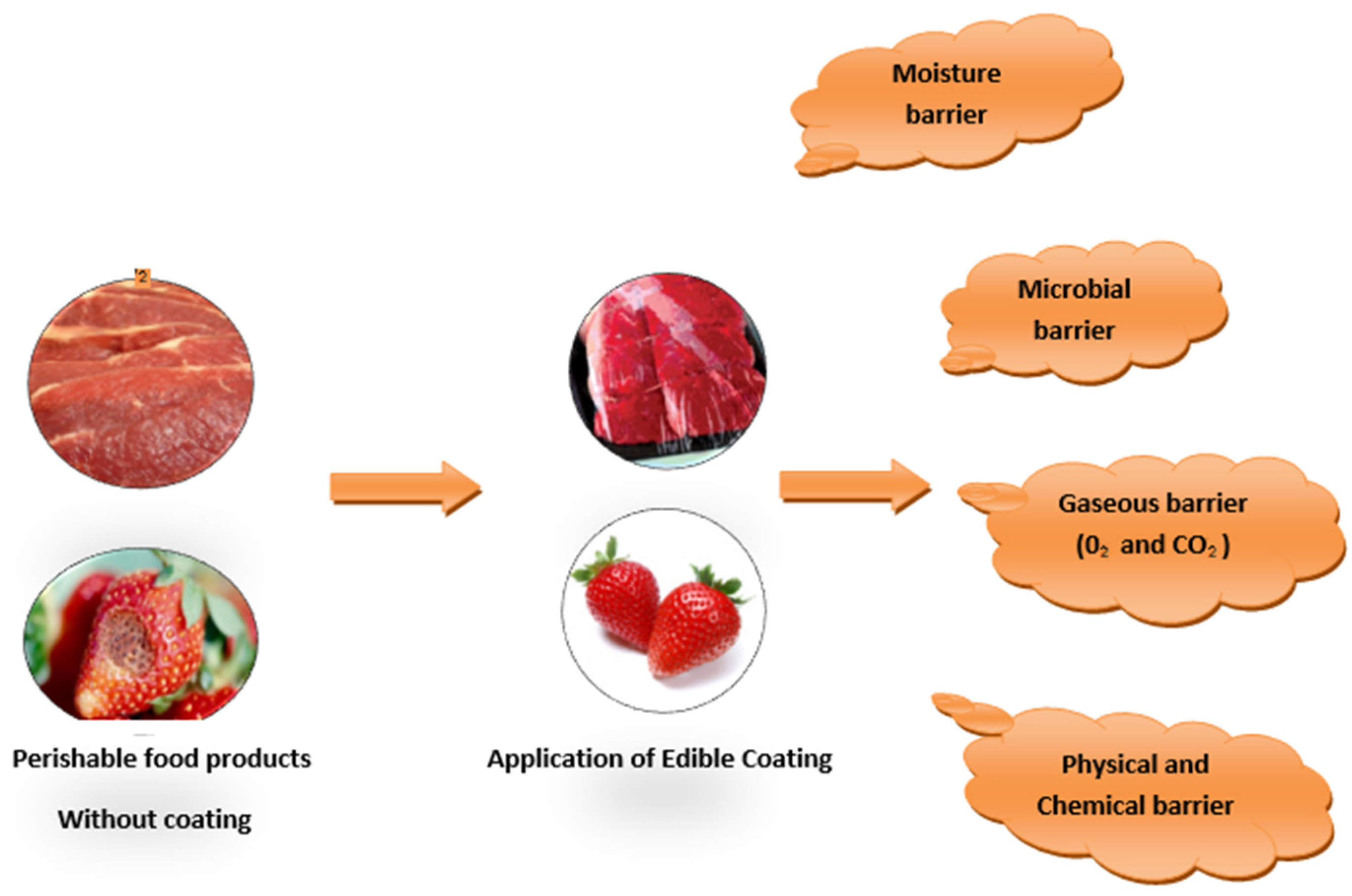 A Comprehensive Review of Biodegradable Polymer-Based Films and ...
