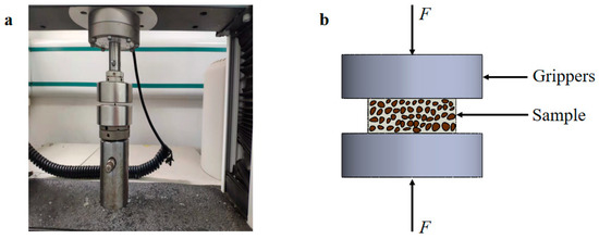 Mechanical Behavior of Human Cancellous Bone in Alveolar Bone under ...