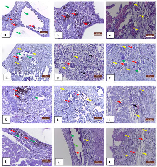 Materials | Free Full-Text | Long-Term Examination of Degradation and ...