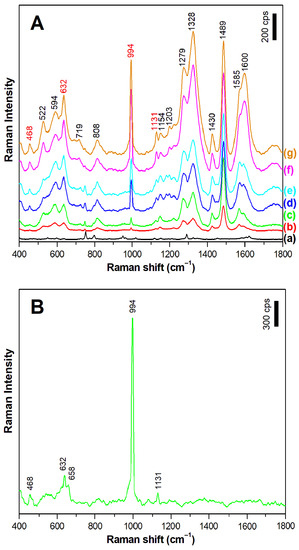 Influence of the Co-Adsorbed Ions on the Surface-Enhanced Raman ...