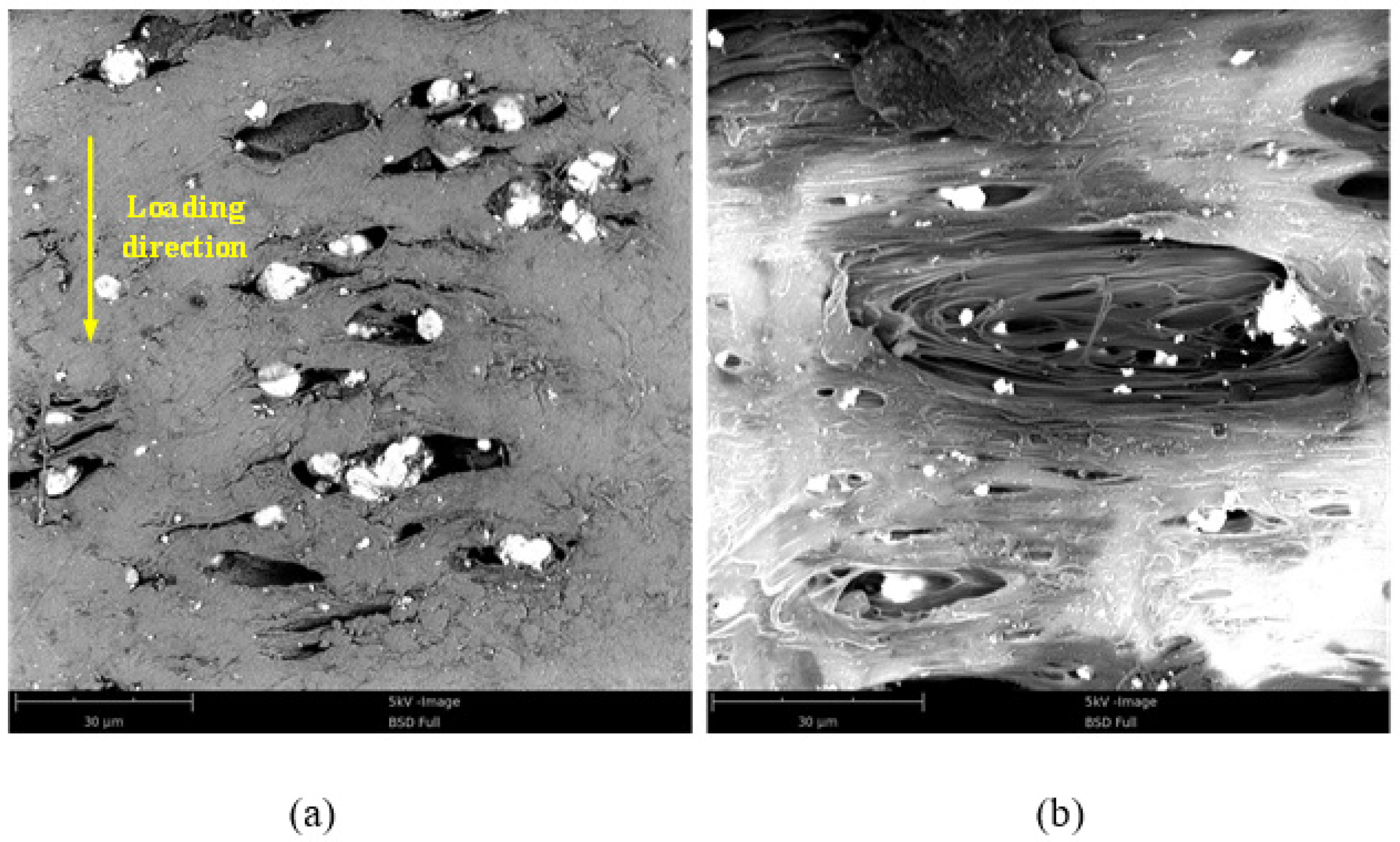 The Mechanical and Energy Release Performance of THV-Based Reactive ...