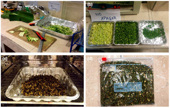 Development of a Portland Cement-Based Material with Agave salmiana ...