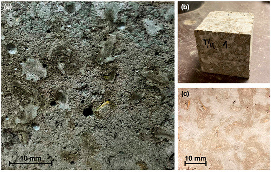 Development of a Portland Cement-Based Material with Agave salmiana ...