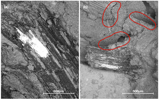 Development of a Portland Cement-Based Material with Agave salmiana ...