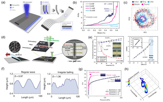 Direct Writing of Functional Layer by Selective Laser Sintering of ...
