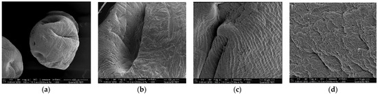 Materials | Free Full-Text | Adsorption of Non-Steroidal Anti-Inflammatory Drugs on Alginate ...