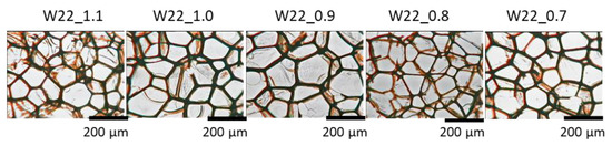 The Effect of a Chemical Foaming Agent and the Isocyanate Index on the ...