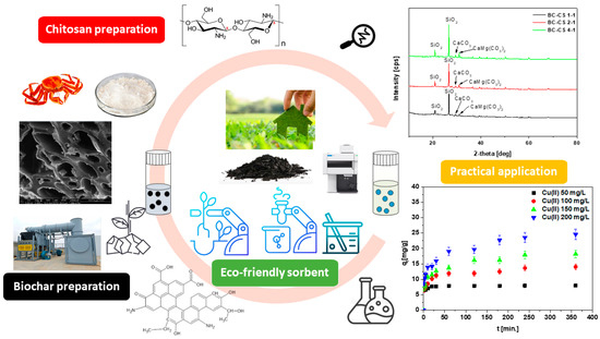 Chitosan-Modified Biochars to Advance Research on Heavy Metal Ion ...