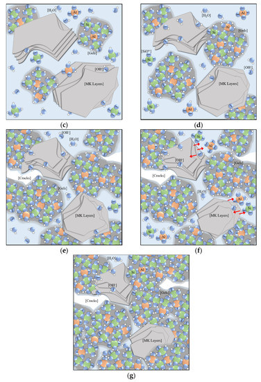 Early-Stage Geopolymerization Process of Metakaolin-Based Geopolymer