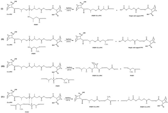 Effects of Endic Anhydride Grafted PPC on the Properties of PHBV Blends