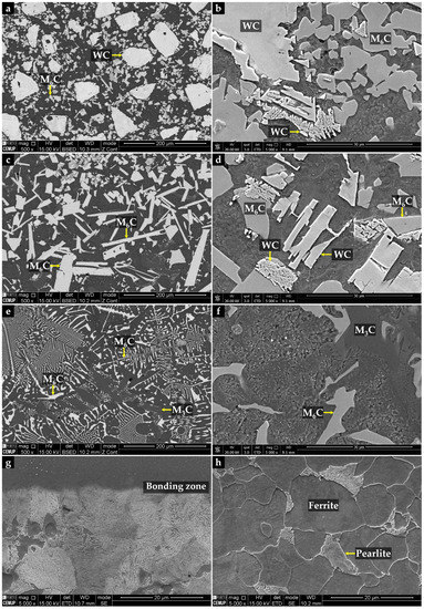 A Study on a Cast Steel Reinforced with WC–Metal Matrix Composite