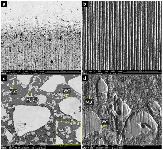 A Study on a Cast Steel Reinforced with WC–Metal Matrix Composite