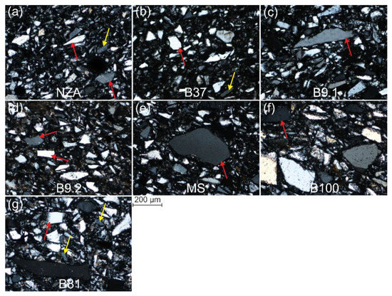 Source of Raw Materials and Its Processing for the Manufacturing of ...
