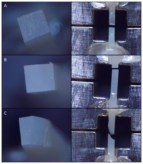 Effect of Different Surface Treatments on Repair Bond Strength of CAD ...
