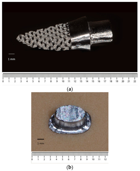 Understanding the Stress Distribution on Anatomic Customized Root ...