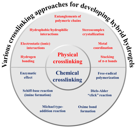 Enzyme-Triggered Crosslinked Hybrid Hydrogels for Bone Tissue Engineering