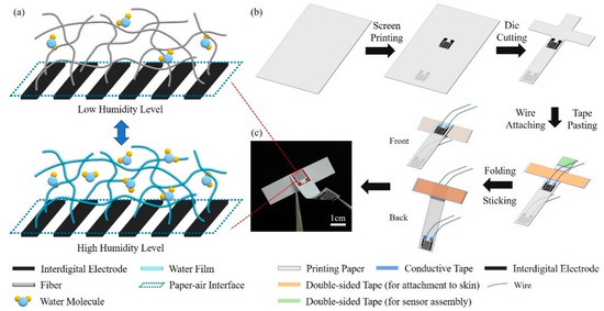 Paper-Based Humidity Sensor for Respiratory Monitoring