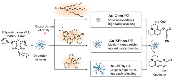 Enhanced Design of Gold Catalysts for Bioorthogonal Polyzymes