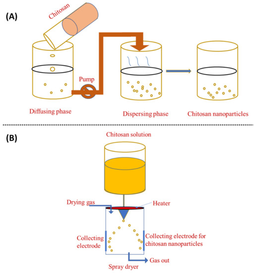 Chitosan Nanoparticles: A Versatile Platform for Biomedical Applications