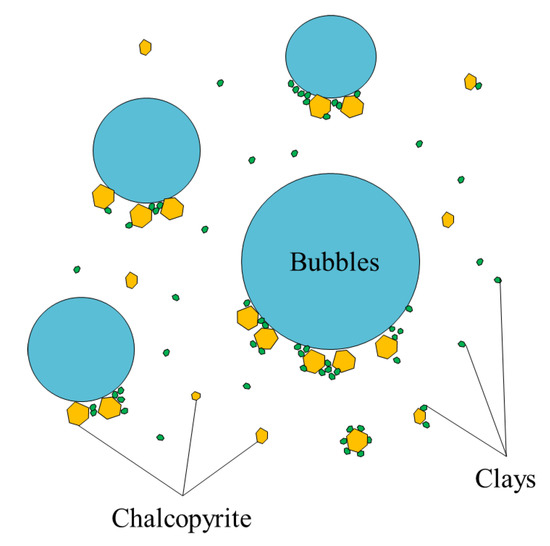 Froth Flotation of Chalcopyrite/Pyrite Ore: A Critical Review