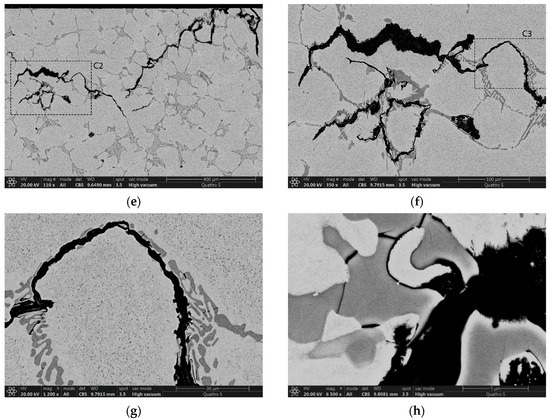 Early Spalling Analysis of Large Particles in High-Cr Steel during ...
