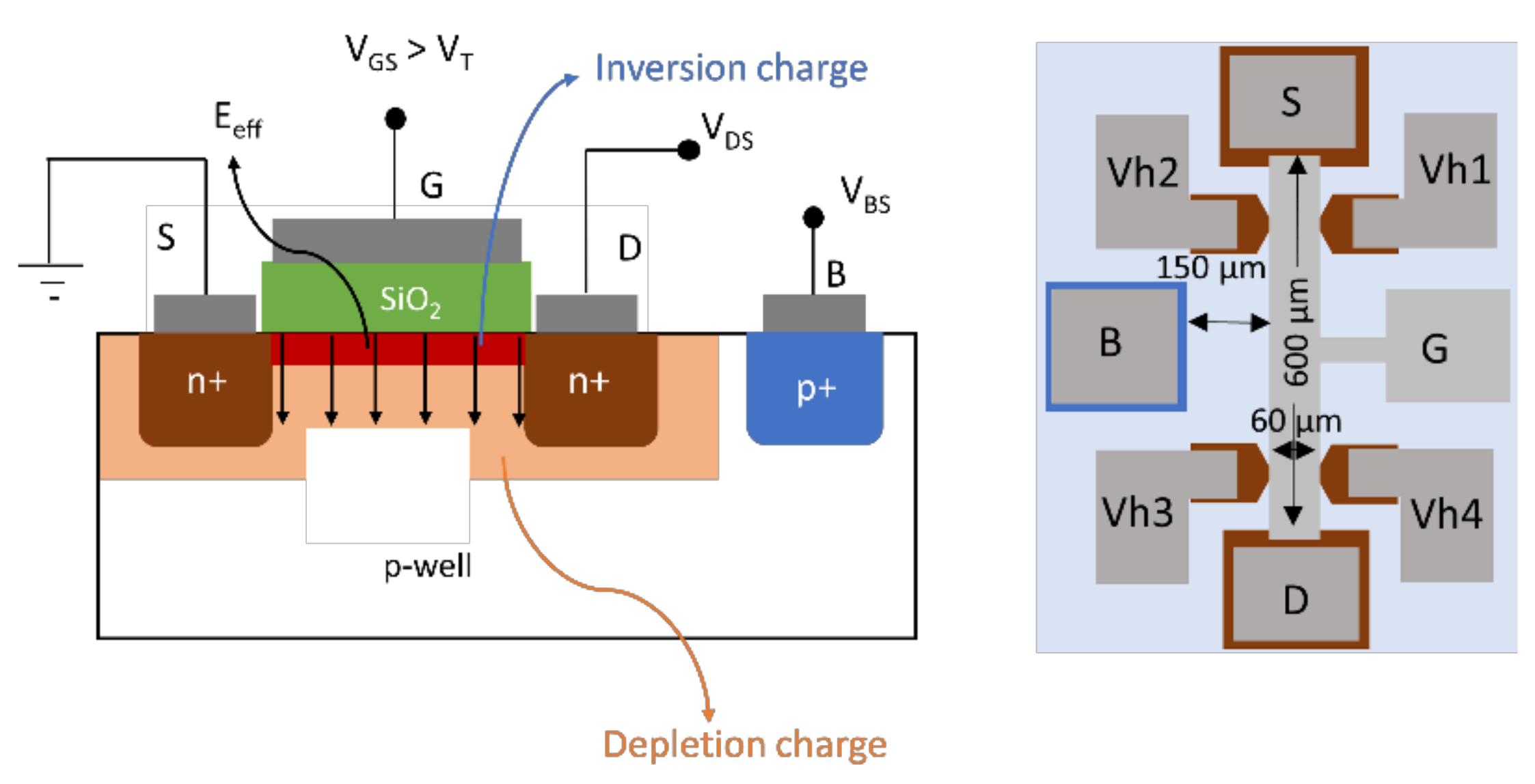 Study of Carrier Mobilities in 4H-SiC MOSFETS Using Hall Analysis
