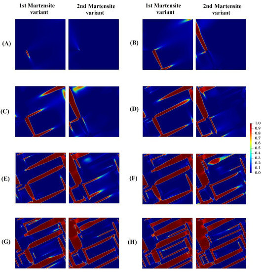 Interplay of Fracture and Martensite Transformation in Microstructures ...