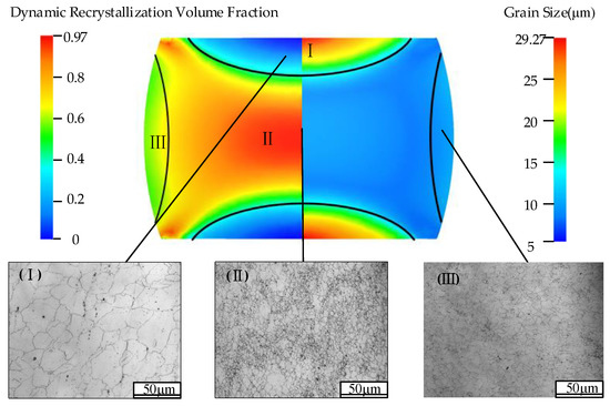 Modeling of Dynamic Recrystallization Evolution for Cr8 Alloy Steel and Its Application in FEM