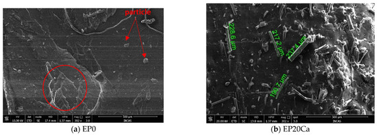 Mechanical Properties and Equilibrium Swelling Characteristics of Some ...