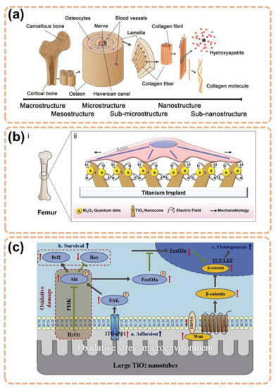 Functionalization of TiO2 for Better Performance as Orthopedic Implants