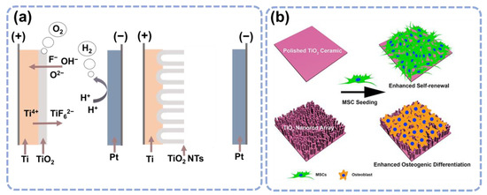 Functionalization of TiO2 for Better Performance as Orthopedic Implants