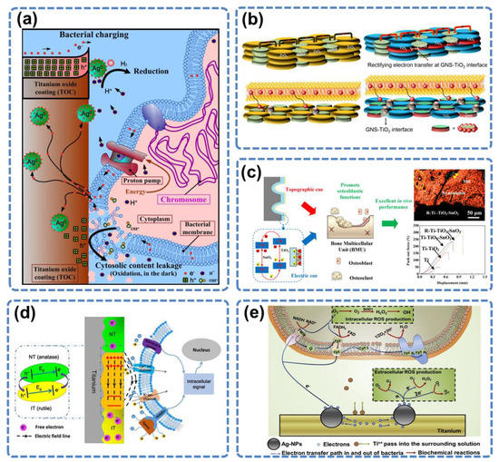 Functionalization of TiO2 for Better Performance as Orthopedic Implants