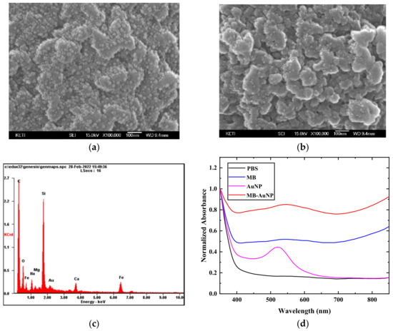 Gold-Nanoparticle-Coated Magnetic Beads for ALP-Enzyme-Based ...