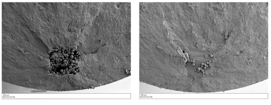 Effect of Internal Defects on the Fatigue Behavior of Additive ...