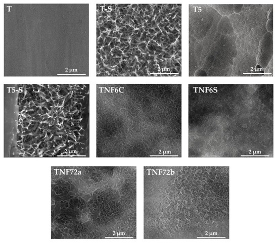 Evaluation of the Cathodic Electrodeposition Effectiveness of the Hydroxyapatite Layer Used in ...