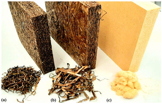 Seagrass Leaves: An Alternative Resource for the Production of ...