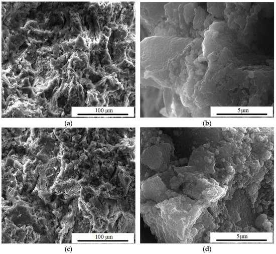 Synthesis and Characterization of Porous Forsterite Ceramics with ...