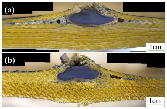 Research on Bending and Ballistic Performance of Three-Dimensional Ply ...