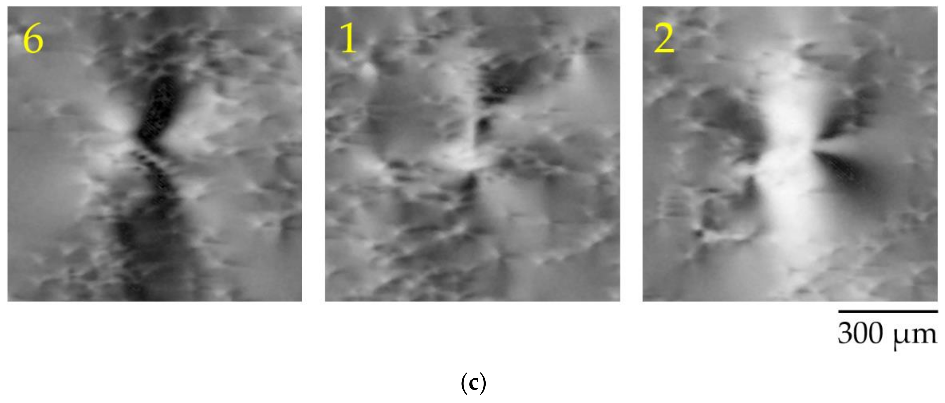 Materials | Free Full-Text | Large-Scale Defect Clusters with Hexagonal ...