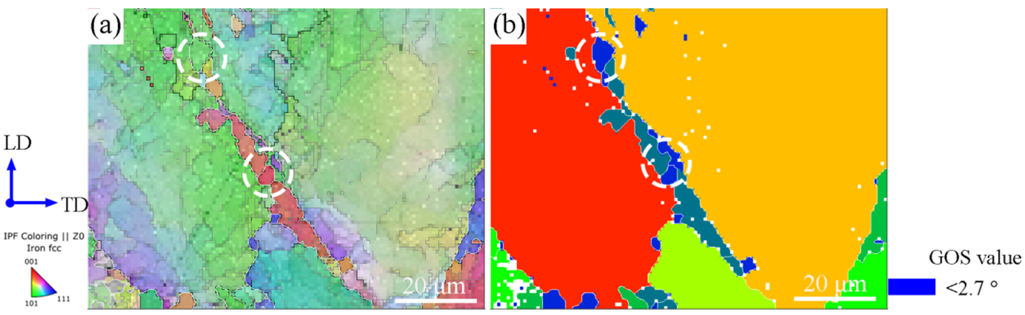 Reveal the Viscoplastic Behaviour and Microstructure Evolution of ...