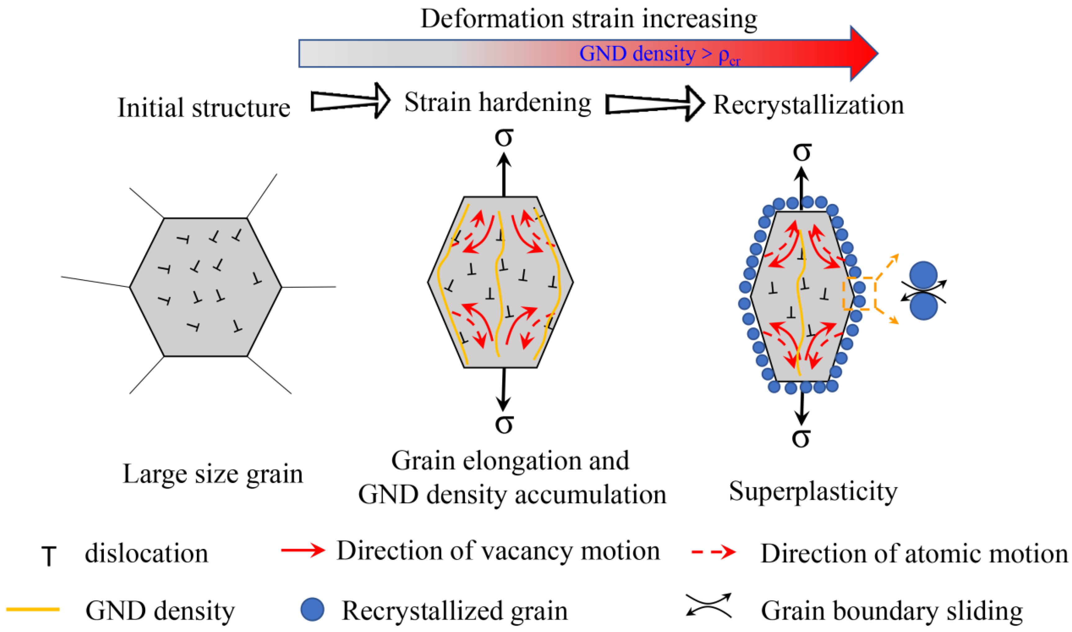Reveal the Viscoplastic Behaviour and Microstructure Evolution of ...
